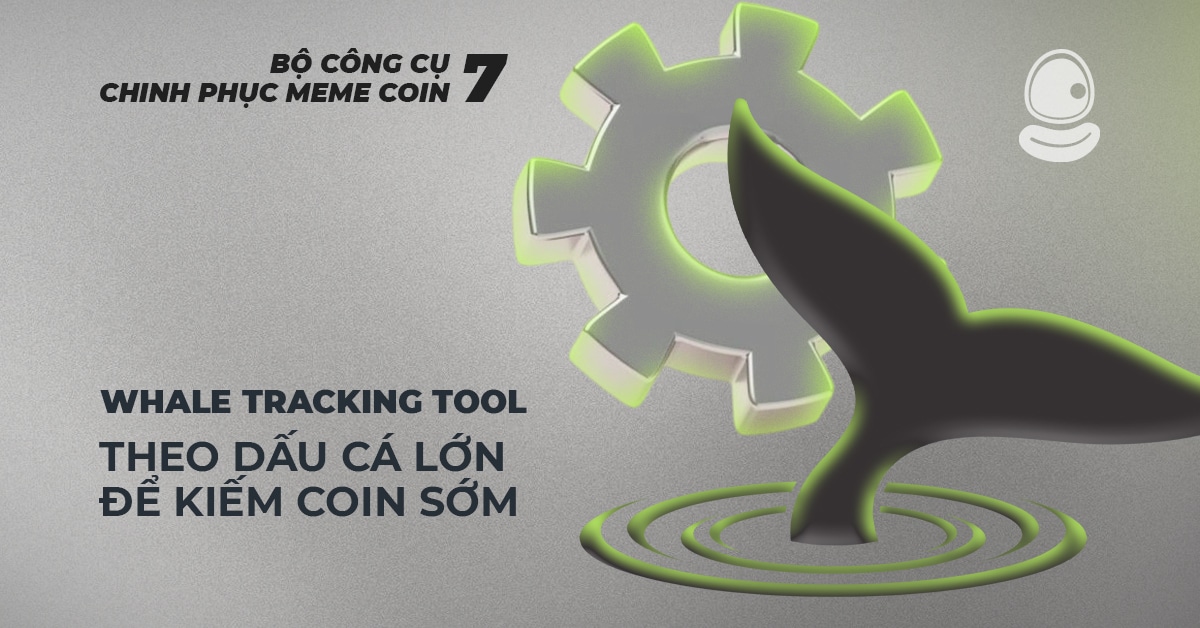 Whale tracking tool – Theo dấu cá lớn để kiếm coin sớm – Blog Meme